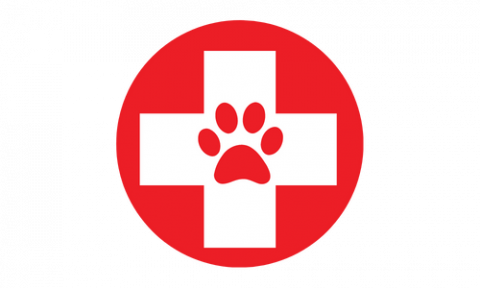 Accueil - Ottawa Animal Emergency & Speciality Hospital